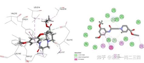 基于药效团模型和分子对接对纺锤体驱动蛋白KSP抑制剂的研究 知乎