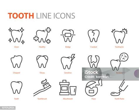 치과 의사 깨끗한 보호 치료 구강 과 같은 치아 아이콘 세트 굽은에 대한 스톡 벡터 아트 및 기타 이미지 굽은 아이콘