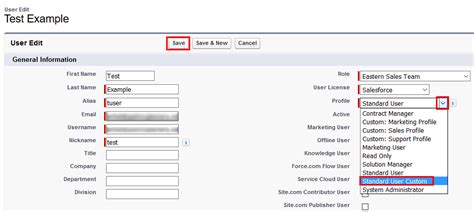 How To Modify Salesforce Permissions For Mme Custom Object