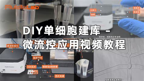 邀您共聚第三届单细胞与空间组学大会！ticsso 3 Fluidiclab微流控实验室 值得您信赖的微流控合作伙伴