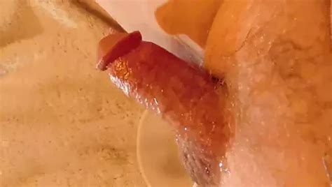 작은 자지 노는 시간 Xhamster