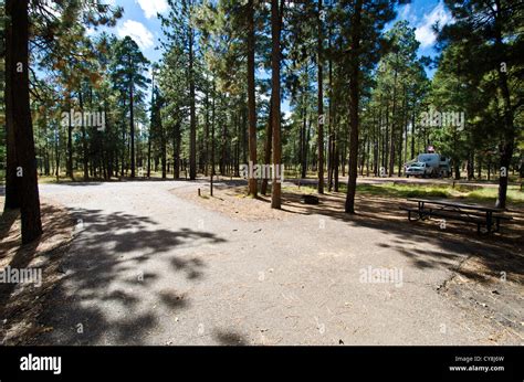 Autumn Comes To Canyon Point Campground Near Forest Lakes Az Apache
