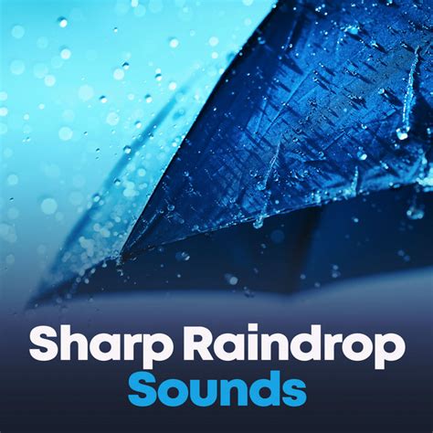 Sharp Raindrop Sounds Album By Sounds Of Rain Spotify