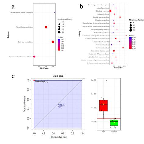 Untargeted Metabolomics Pathway Analysis A The Pathway Enrichment