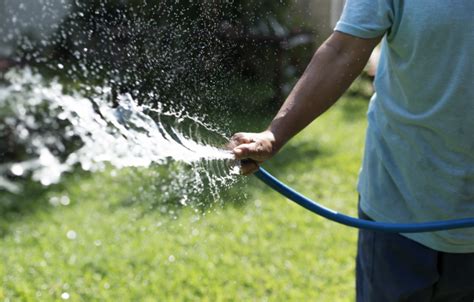 Lawn Survival During A Drought Missouri Southern Seed