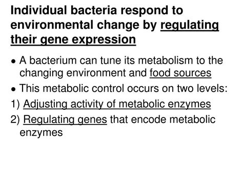 PPT NOTES CH 18 Part 1 Regulation Of Gene Expression Prokaryotes