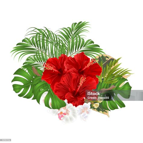 열 대와 꽃다발 꽃 꽃 꽃이 아름 다운 붉은 히 비 스커 스와 백색 난초 팜 편집 가능한 Philodendron 빈티지 벡터