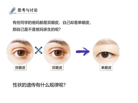 Ppt