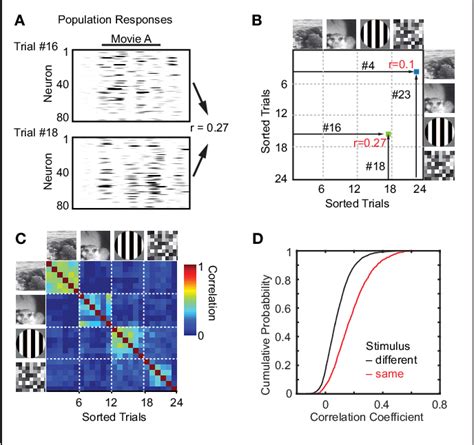 Figure 3 From Representation Of Visual Scenes By Local Neuronal