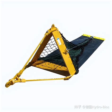 什么是海洋底栖生物 知乎