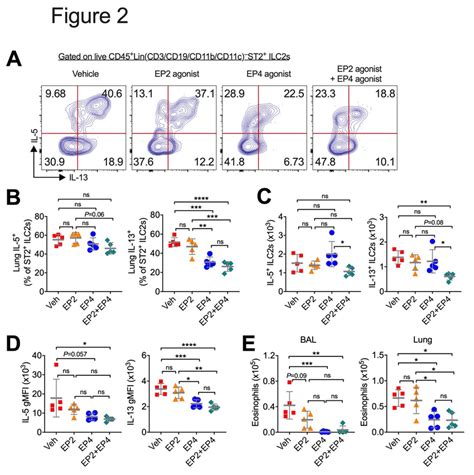 Exogenous Activation Of Ep4 Inhibits Alternaria Alternata Induced Lung