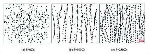 The Effect Of Particle Volume Fraction On The Chaining Process