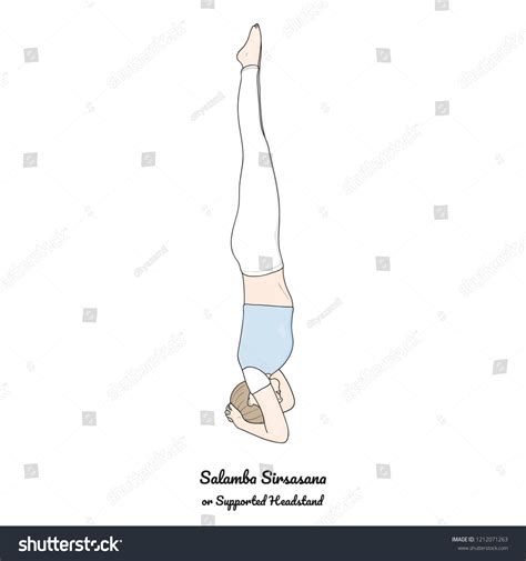 Supported Headstand Salamba Sirsasana Vector Stock Vector Royalty Free