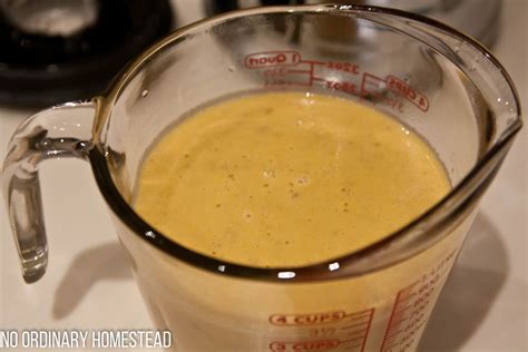 Spicy Thai Butternut Squash Soup No Ordinary Homestead