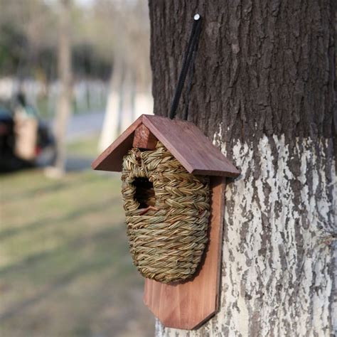 Hummingbird Nest Box
