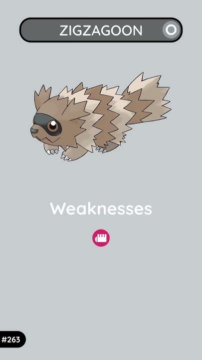 Zigzagoon The Tiny Raccoon Pokémon Poképedia Gen 3 Youtube