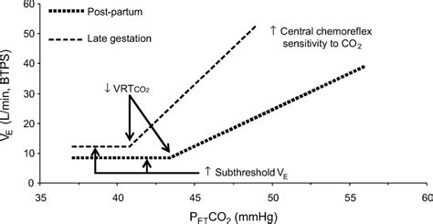 Co2 Response Curve