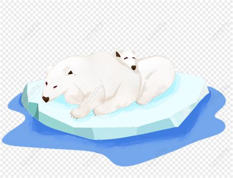 북극곰 Png 일러스트 무료 다운로드 Lovepik