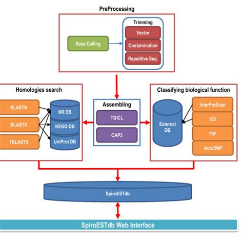 Workflow Schema Of The Pipeline The Architecture Of The Pipeline