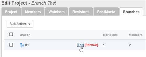 How To Grant User Write Permission Only For Branch Projects Visual Paradigm Know How
