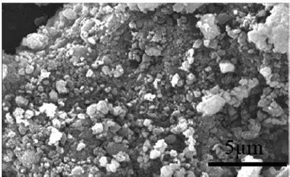 Scanning Electron Microscope Sem Micrographs Of Worn Debris Of Al