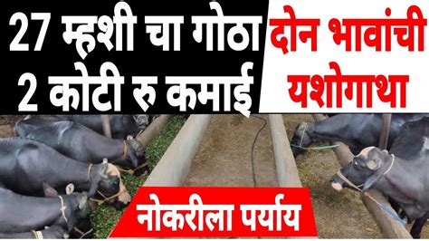 दुग्ध व्यवसायातून 2 कोटी ची कमाई,दोन भावांची यशोगाथा,27 म्हशी चा गोठा ...