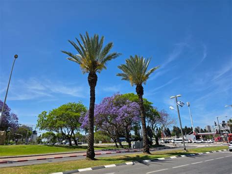 ביקורת Galaxy S25 Ultra הצעד הטוב ביותר או הטעות הכי גדולה