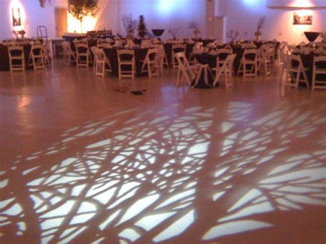 Gobo Trees Rocked 2014 Pinterest