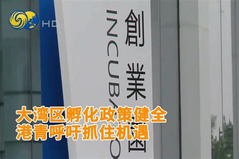 大湾区孵化政策健全，香港青年呼吁抓住机遇凤凰网视频凤凰网