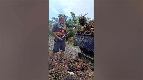 Ak Tetu Arik Kngen Kmu Fypyoutube Ludingbuahsawit Youtube