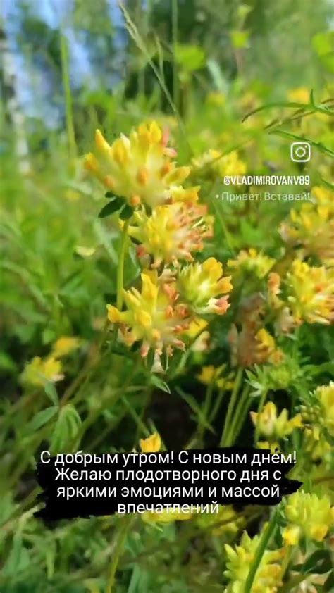 С добрым утром С новым днем Желаю плодотворного дня с яркими эмоциями и массой впечатлений🤩