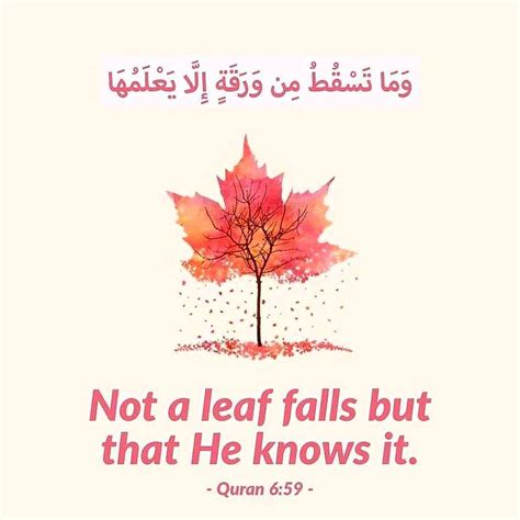Pin By Ms Chris On Islam Quran Beautiful Quran Verses Learn Islam
