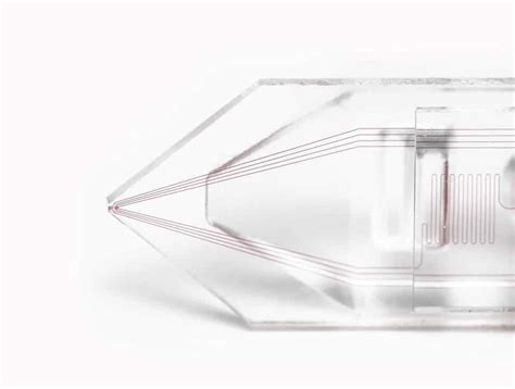 Interview With Gavin Jeffries Cto Fluicell Ab 3dheals