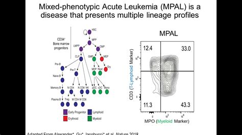A Novel Approach For Single Cell Multi Omic Analysis To Identify