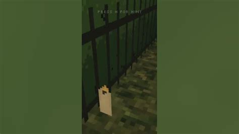 Roblox Reflection In Maze Youtube