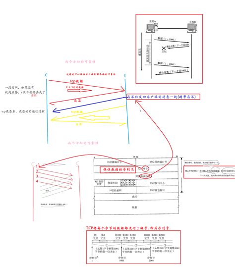 Tcp协议网络 Csdn博客