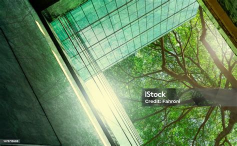 지속 가능한 녹색 건물 현대 도시의 친환경 건물 이산화탄소를 줄이기 위한 나무가 있는 지속 가능한 유리 사무실 건물 녹색 환경을 가진 사무실 기업 건물은 Co2를 줄입니다