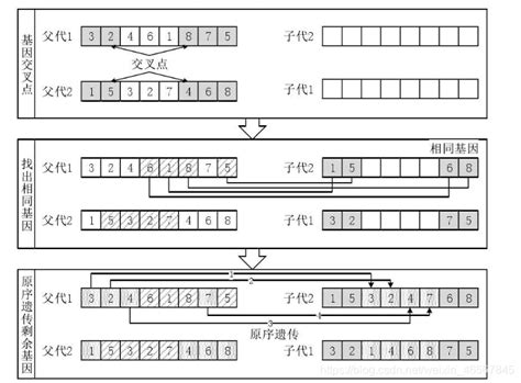 基于遗传算法有时间窗、载重约束外卖配送路径优化基于遗传算法的物流配送路径优化 Csdn博客