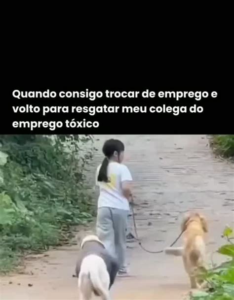 Claudia Antunes Lima No Linkedin Dicas 93 Comentários