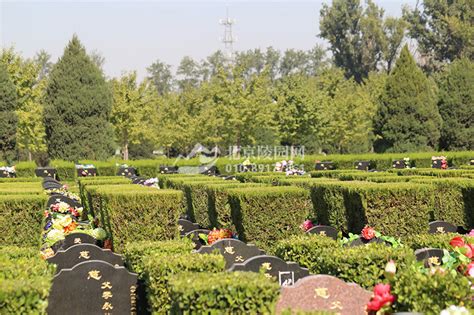 北京朝阳区墓地价格一览表及使用年限续费标准怎样 北京陵园网