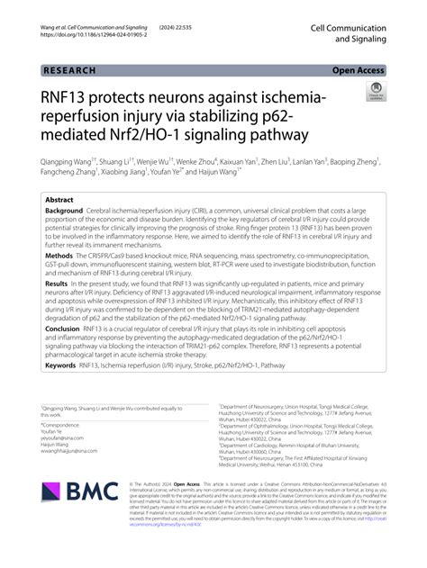 Pdf Rnf13 Protects Neurons Against Ischemia Reperfusion Injury Via