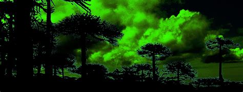 Ecoworldreactor The Surprising Science Of Happiness
