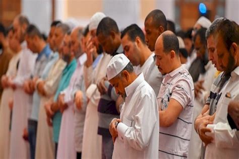 هل يجوز صلاة التراويح في المنزل؟ دار الإفتاء تجيب كايرو بريس