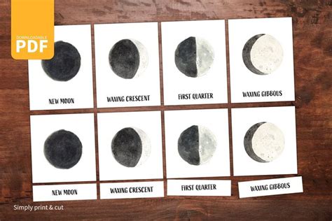Moon Phases 3 Part Cards Lunar Phases Pdf Montessori Moon Facts Solar