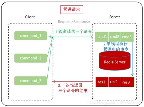 Redis系列十八、redis中的管道pipeline操作pythonredis Pipeline Execute Csdn博客