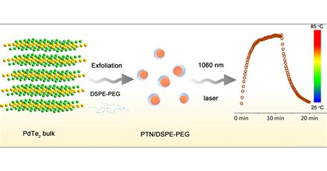 1t Phase Dirac Semimetal Pdte2 Nanoparticles For Efficient Photothermal Therapy In The Nir Ii