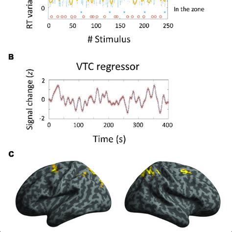 Brain Activations Derived From Variance Time Courses Vtcs Ab Download Scientific