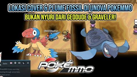 Plume Fossil Evolution