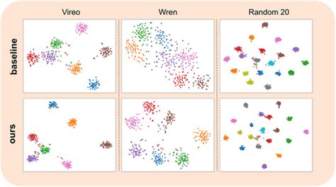 Two‐stage Feature Selection For Fine‐grained Image Recognition Via Partial Order Analysis And